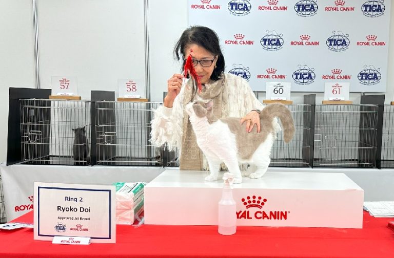 【ご報告】 JAPAN CAT SHOW 2023 ロイヤルカナン「TICA Asia East Region Show」（画像掲載） | TICA Asia East Region